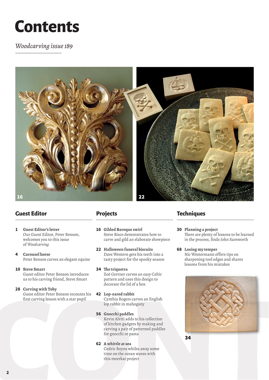 Woodcarving Magazine - Issue 189 Subscriptions | Pocketmags