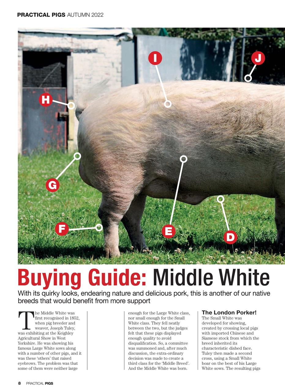 Practical Pigs Magazine - Autumn 2022 Back Issue