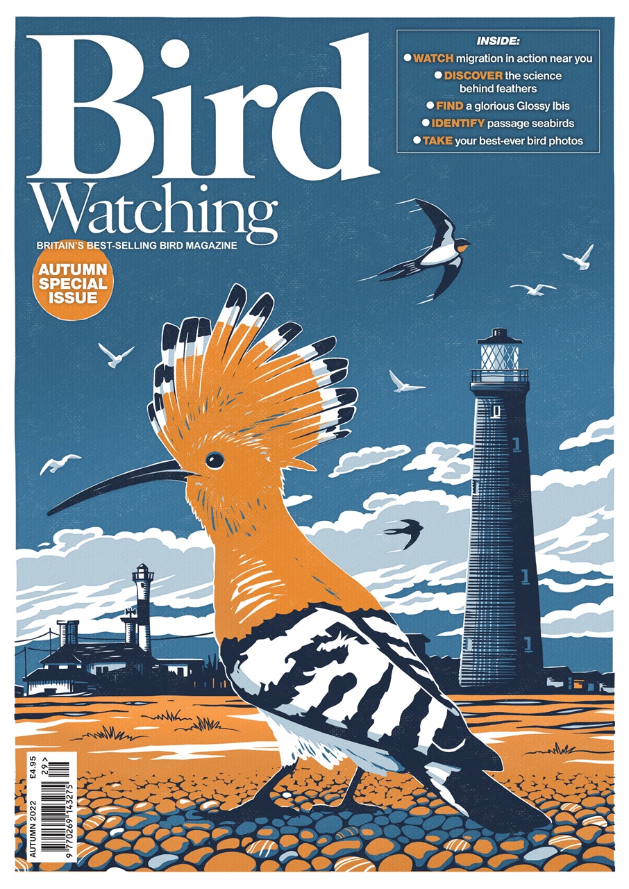 Bird Watching Magazine - Autumn 2022 Subscriptions | Pocketmags