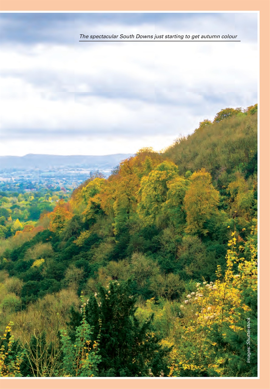 Evergreen Magazine - Autumn 2022 Back Issue