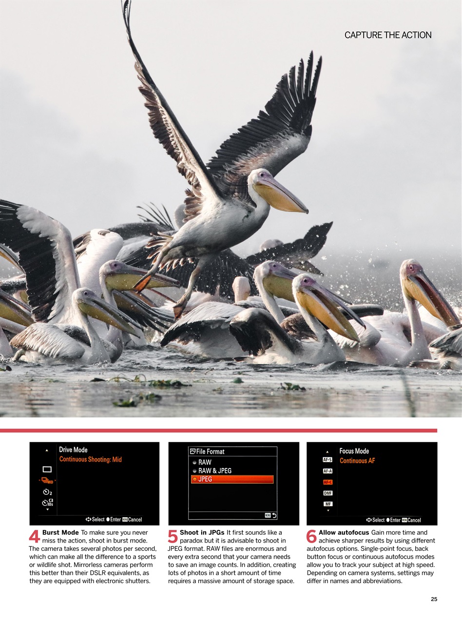 Digital Photographer Magazine - Issue 257 Subscriptions | Pocketmags
