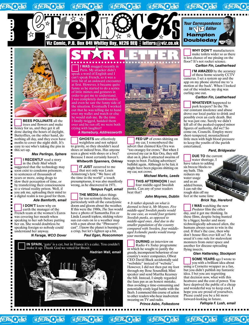 Viz Magazine - October 2022 Back Issue