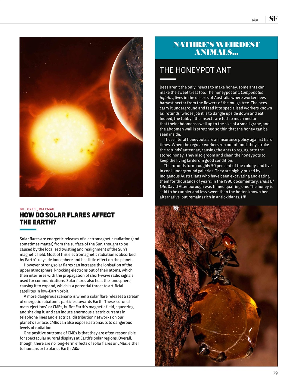 BBC Science Focus Magazine - Sep-22 Back Issue