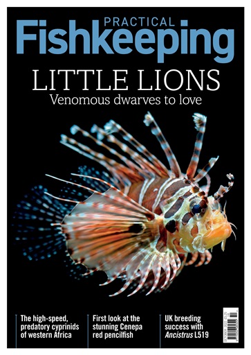 Practical Fishkeeping Magazine - Practical Fishkeeping October 2022 ...