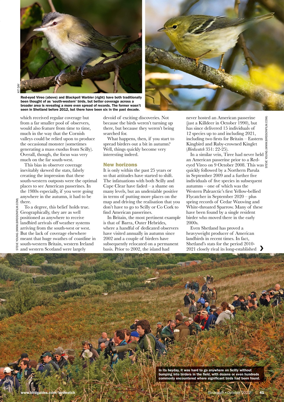 Birdwatch Magazine - October 2022 Subscriptions | Pocketmags