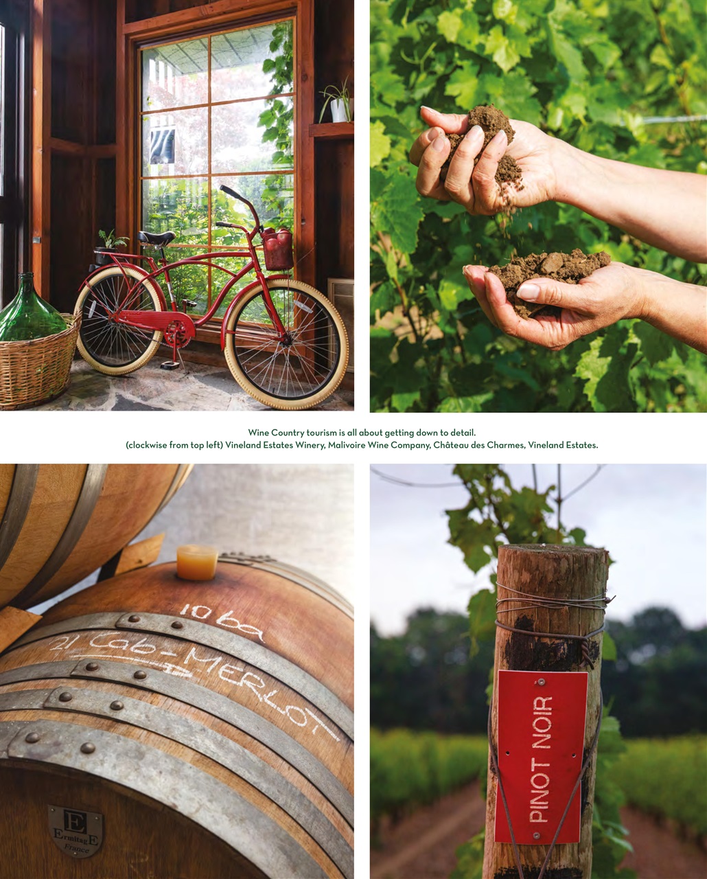 LCBO Food & Drink Magazine - Autumn 2022 Subscriptions | Pocketmags