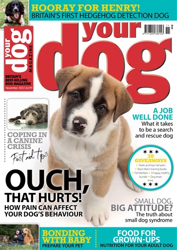 Your Dog Magazine - Your Dog Magazine November 2022 Back Issue