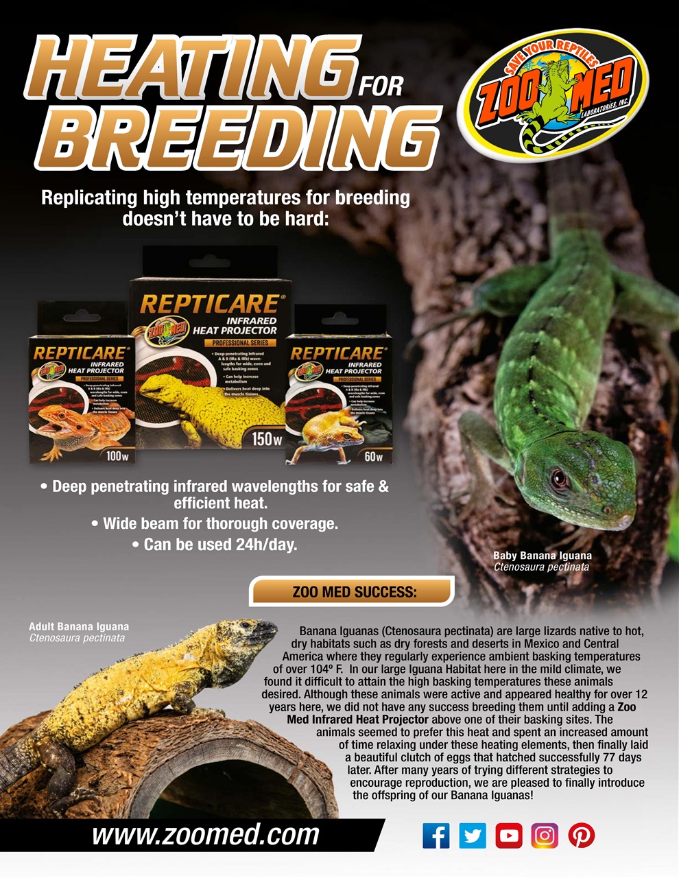 Practical Reptile Keeping Magazine - September 2022 Back Issue