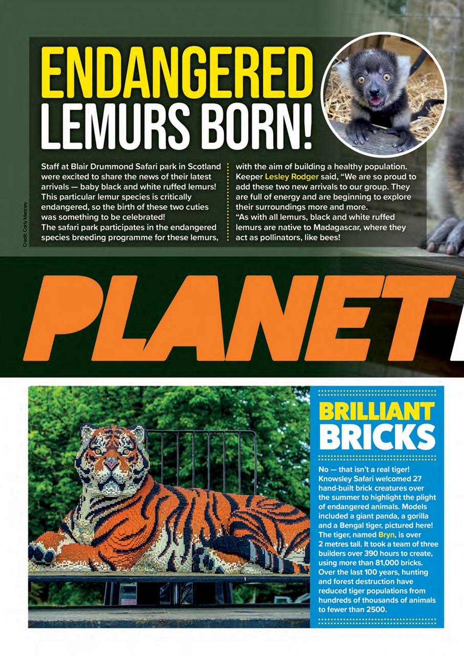 Animal Planet Kids Magazine - Issue 22 Back Issue