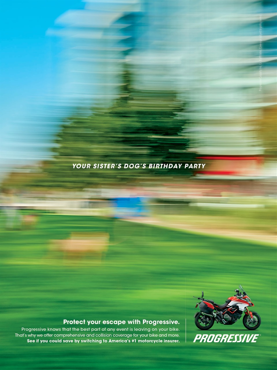 Rider Magazine - November 2022 Back Issue