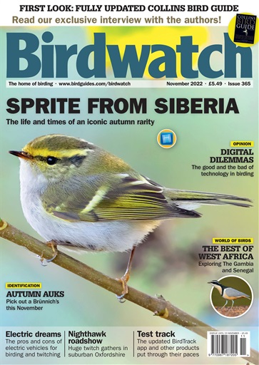 Birdwatch Magazine - November 2022 Subscriptions | Pocketmags