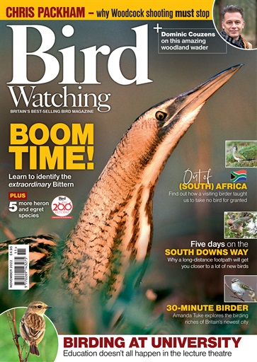 Bird Watching Magazine - Nov-22 Back Issue