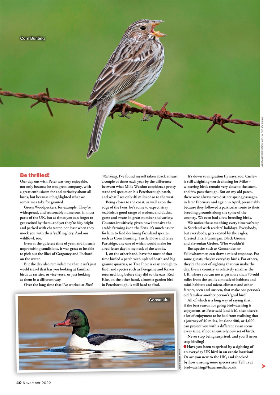 Bird Watching Magazine - Nov-22 Back Issue