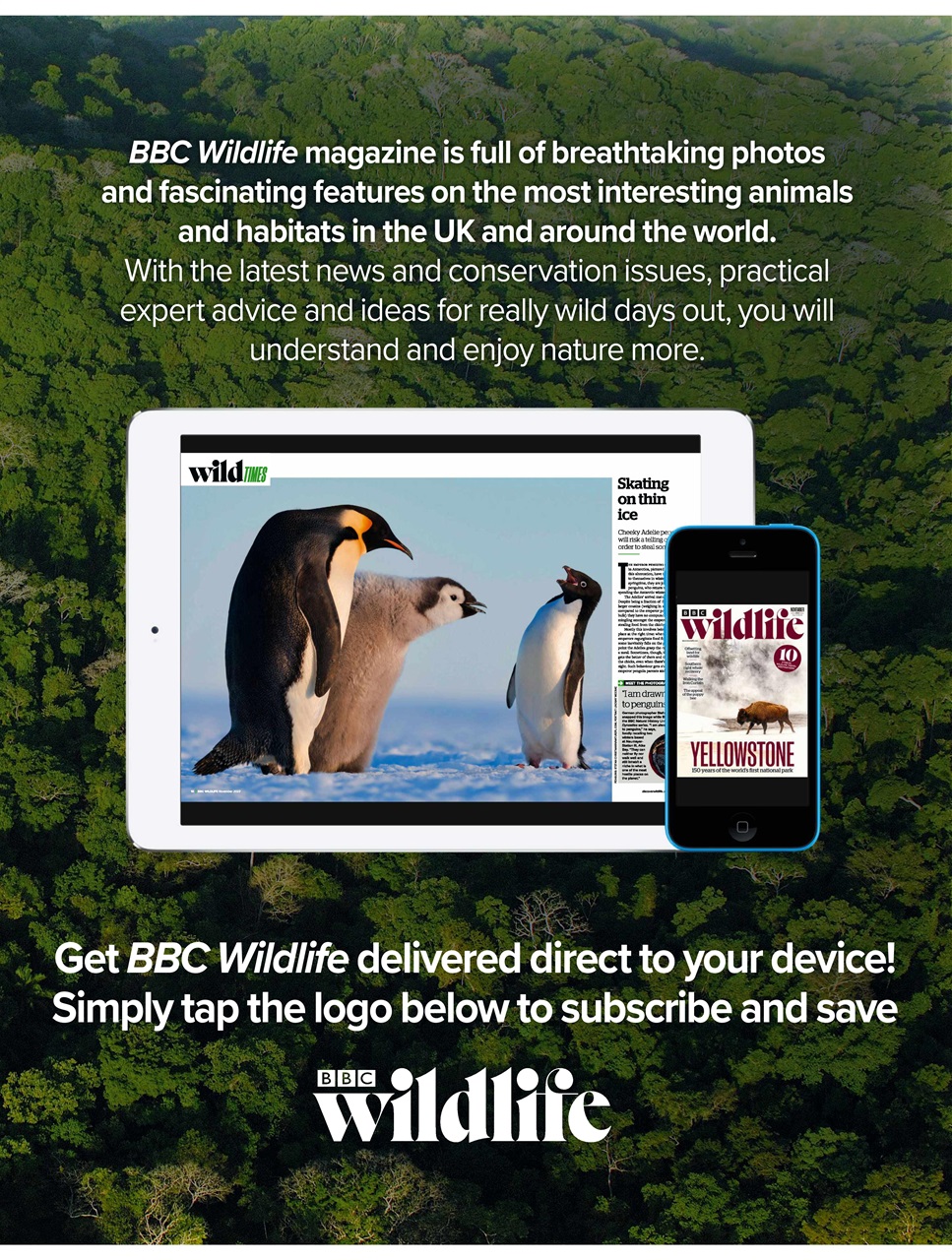 BBC Wildlife Magazine - Nov-22 Subscriptions | Pocketmags