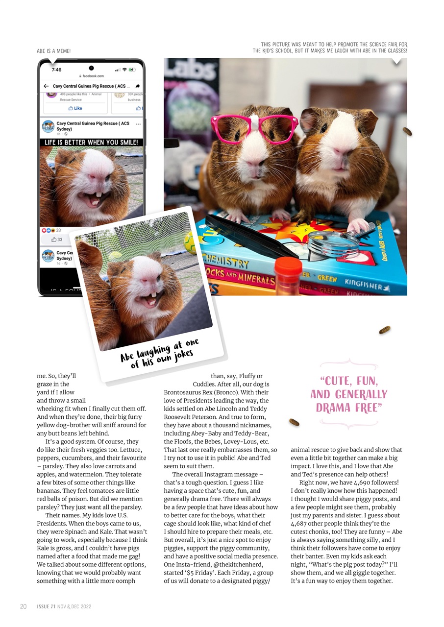 Guinea Pig Magazine - Issue 71 Back Issue