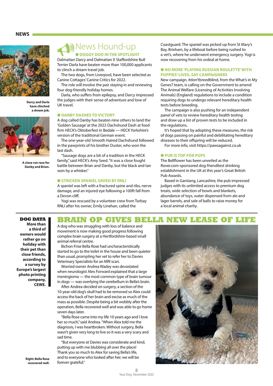 Your Dog Magazine - Your Dog Magazine December 2022 Back Issue