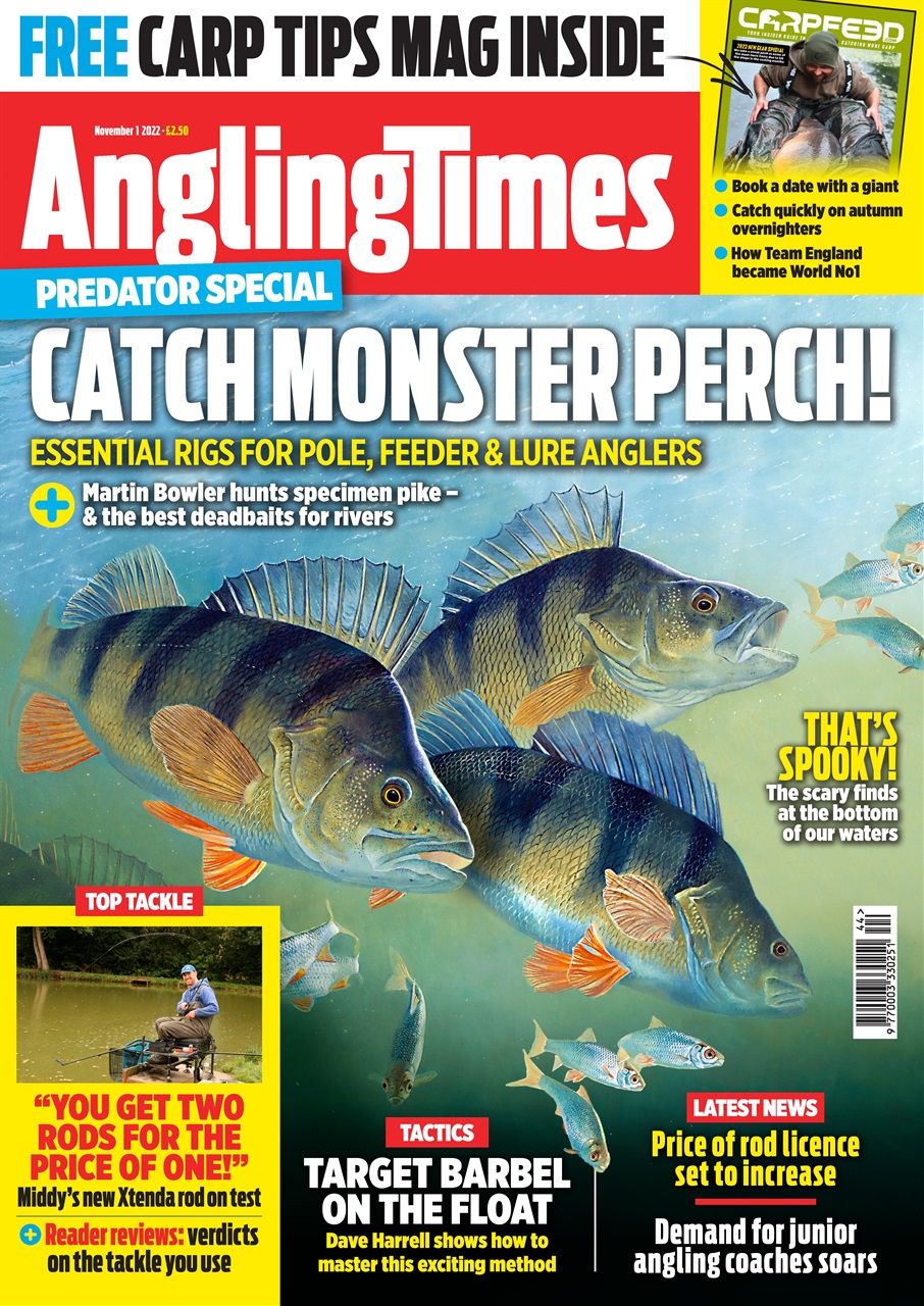 Angling Times Magazine - 01-Nov-22 Back Issue
