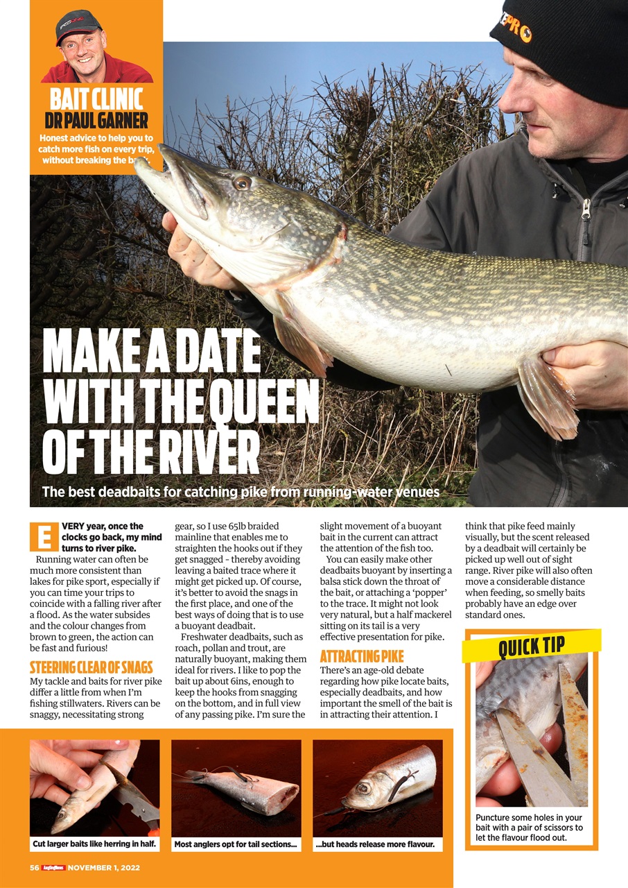 Angling Times Magazine - 01-Nov-22 Back Issue
