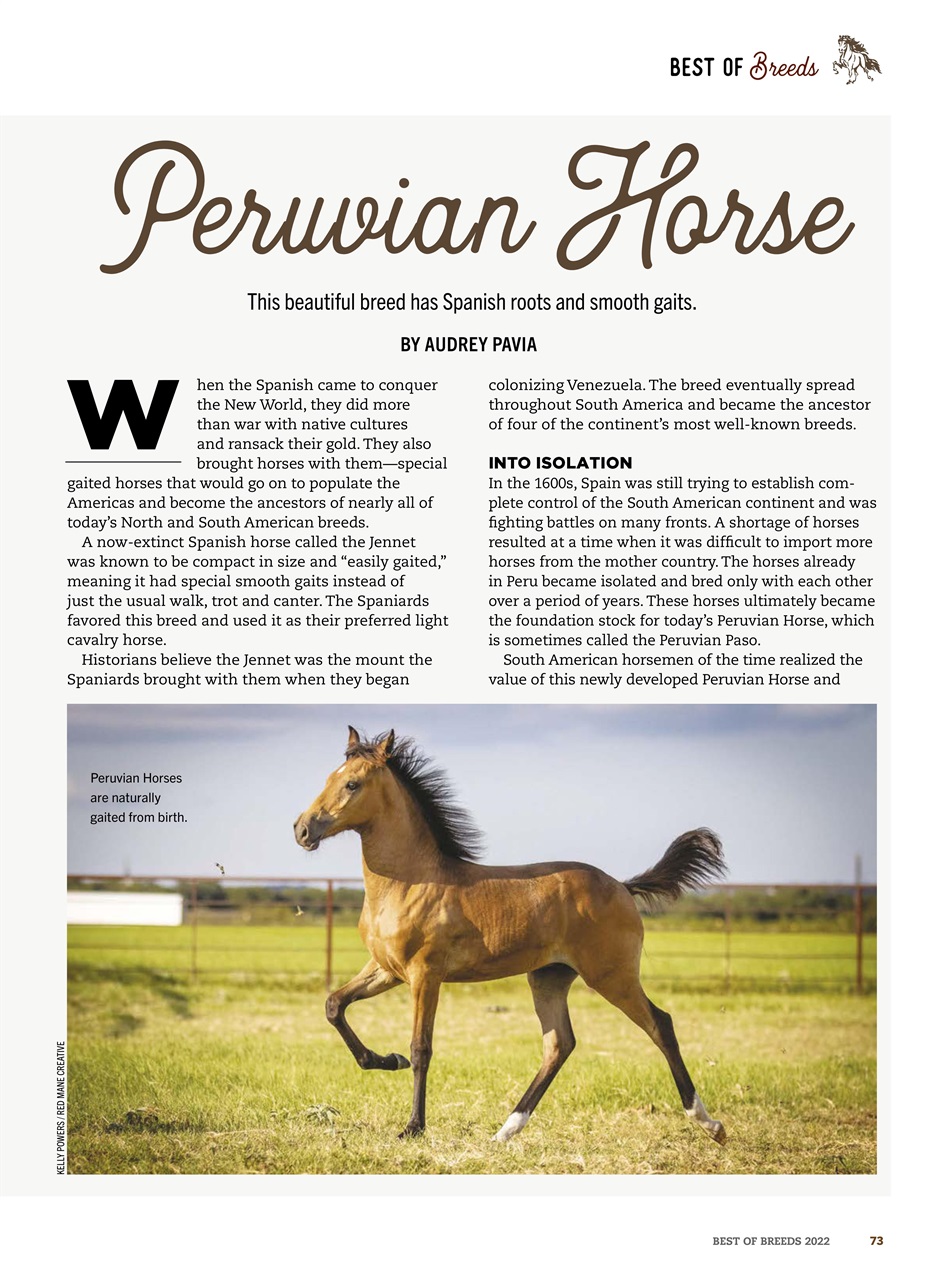 Horse Illustrated Magazine - Best of Breeds Special Issue