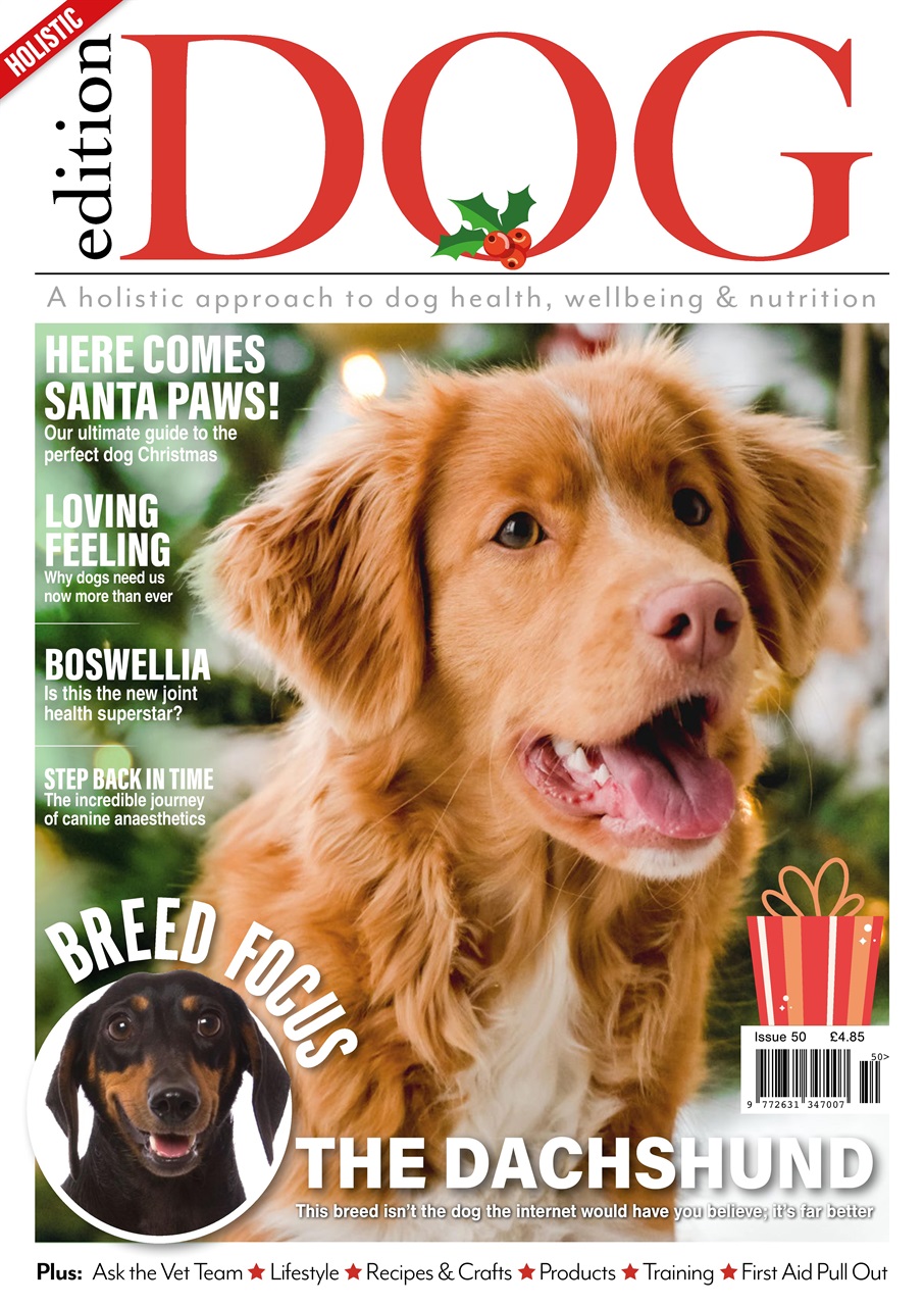 Edition Dog Magazine - Edition Dog Issue 50 Back Issue