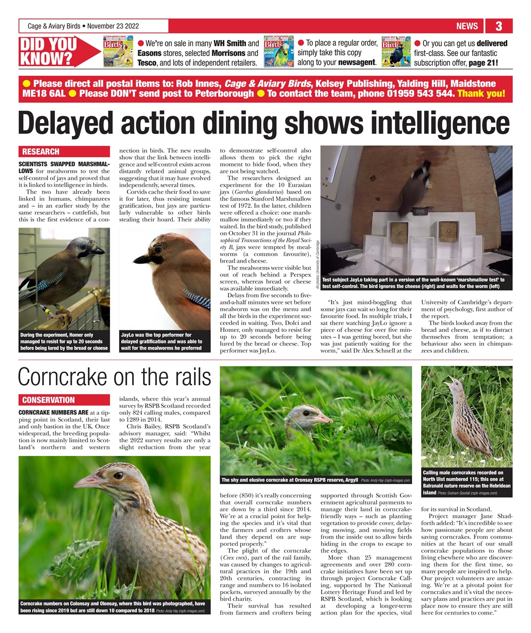 Cage & Aviary Birds Magazine - 23-Nov-22 Back Issue