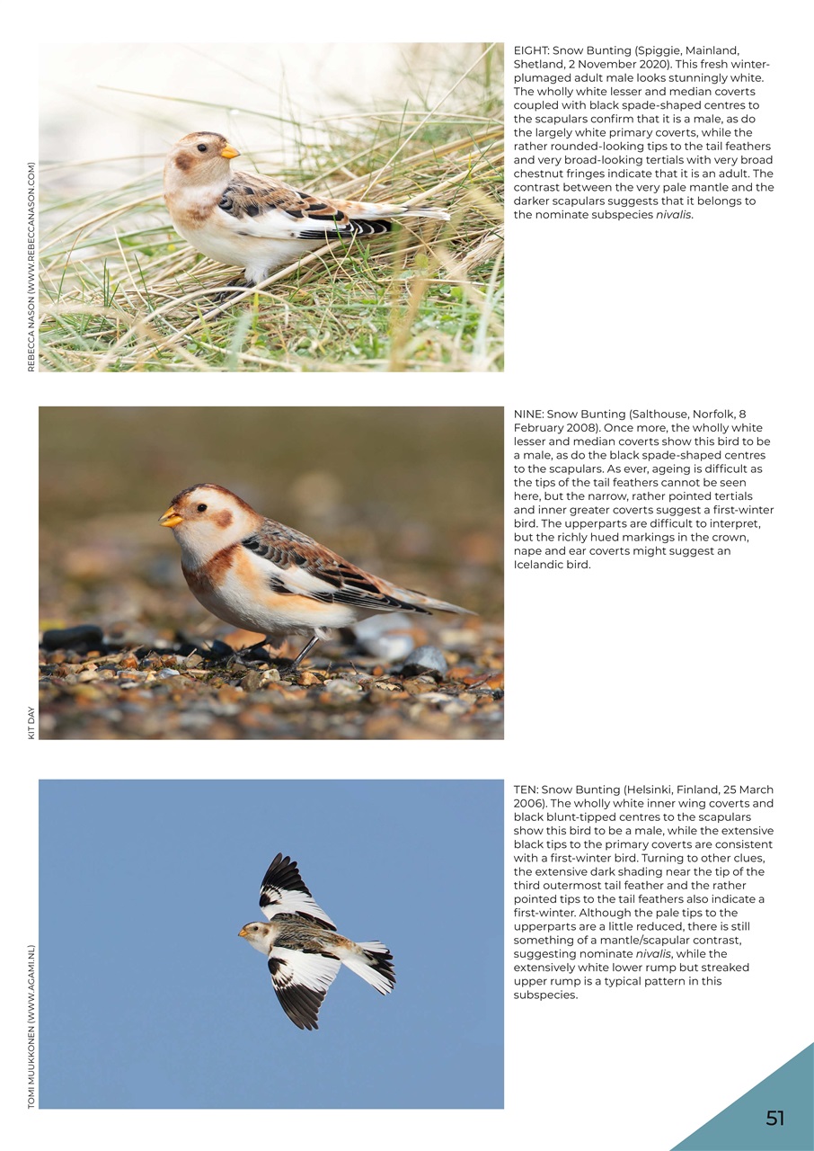 Birdwatch Magazine - Winter Passerines Special Issue
