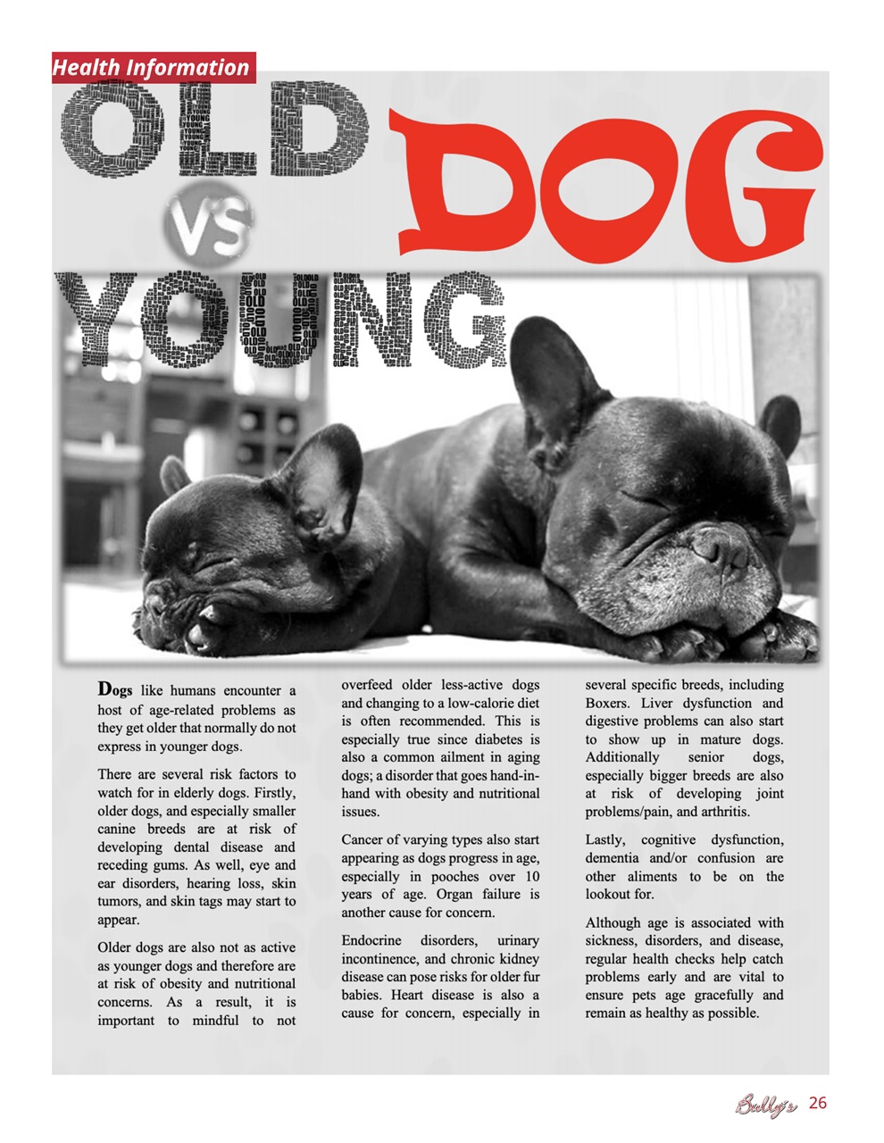 Bully’s - The Bulldog Magazine - Winter 2022 Subscriptions | Pocketmags