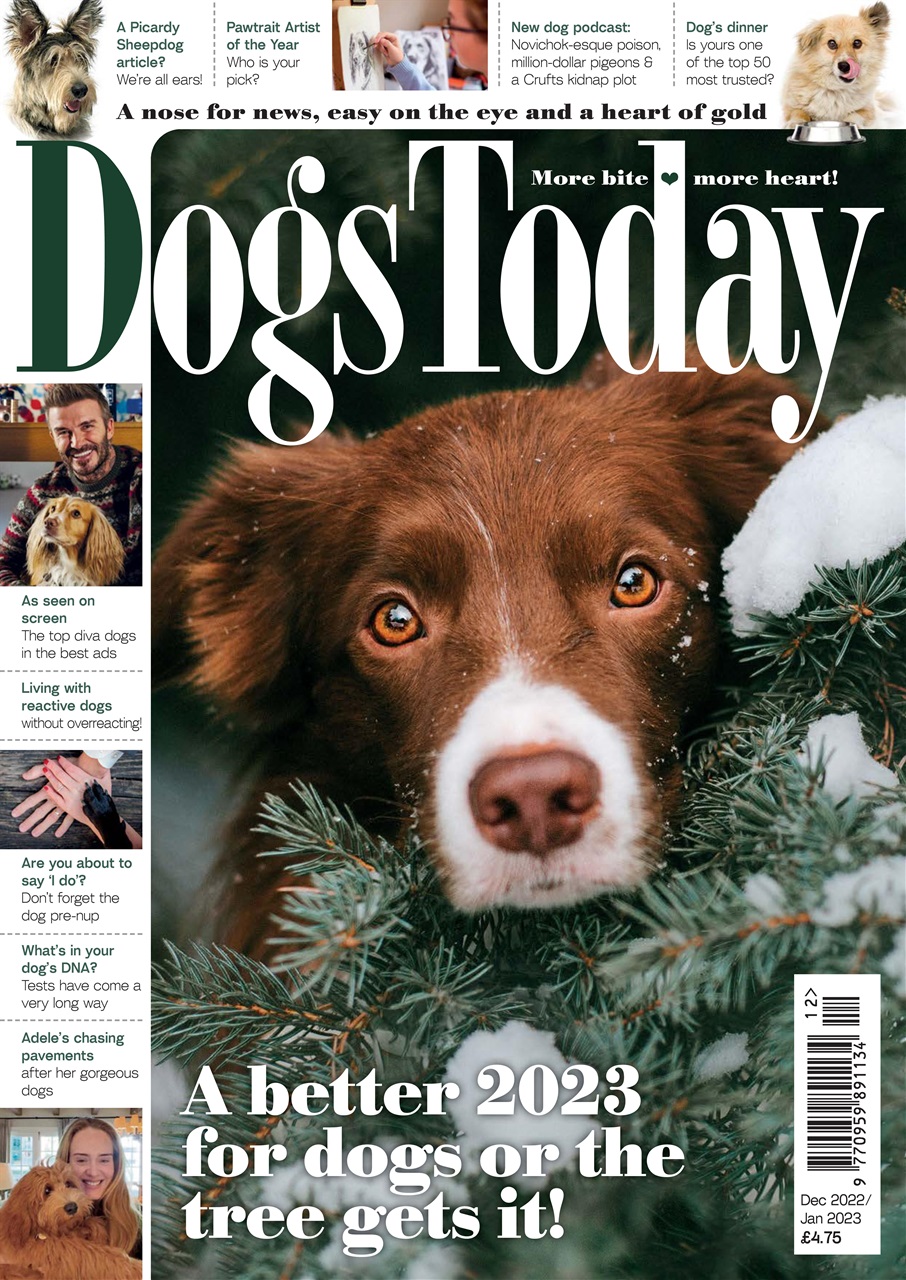 Dogs Today Magazine - December 2022 Back Issue