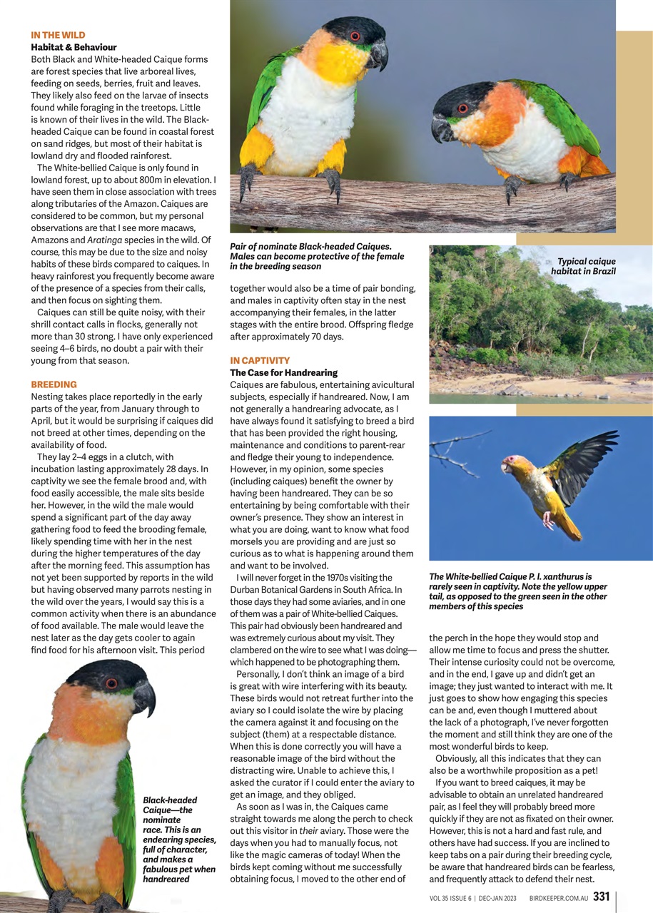 Australian Birdkeeper Magazine - Volume 35 - issue 6 Back Issue