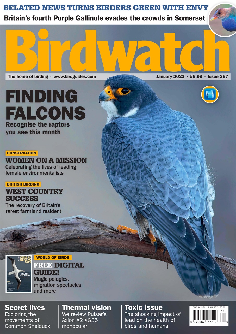 Birdwatch Magazine - January 2023 Back Issue