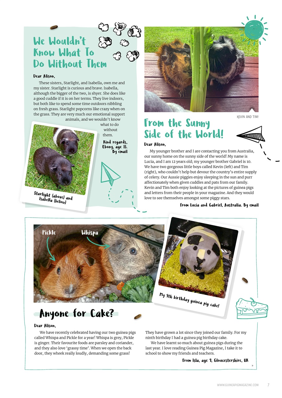 Guinea Pig Magazine - Issue 72 Back Issue