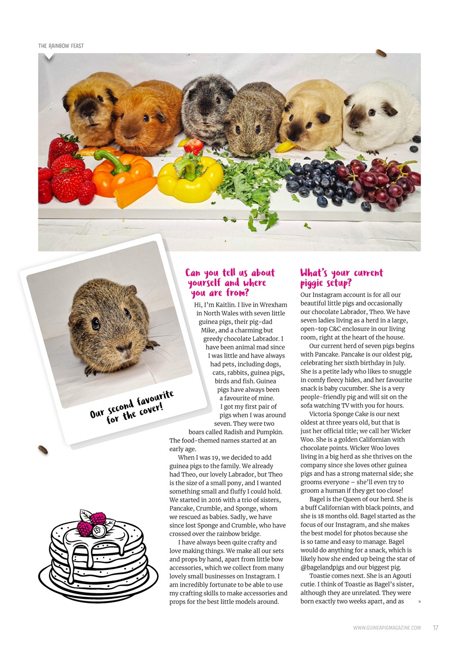 Guinea Pig Magazine - Issue 72 Back Issue