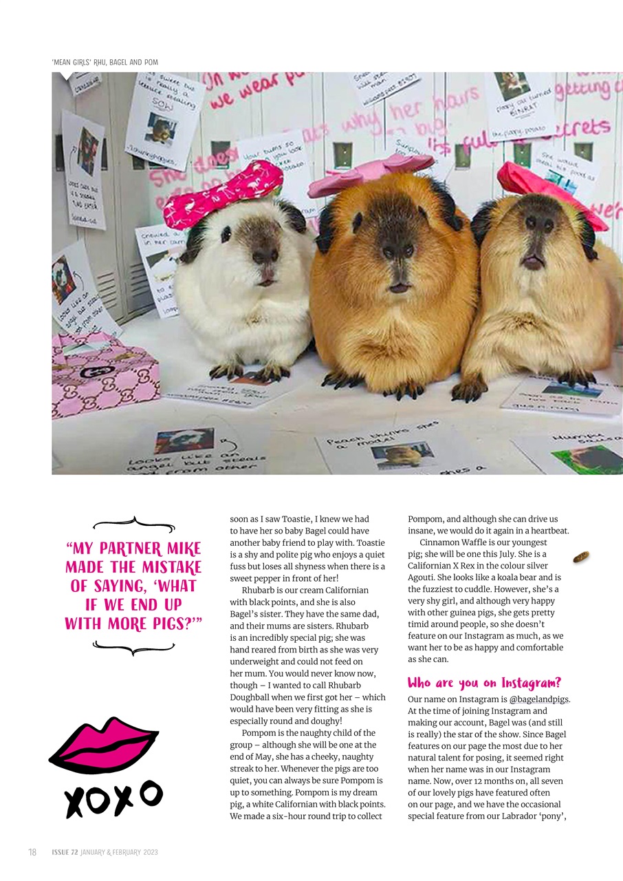 Guinea Pig Magazine - Issue 72 Back Issue