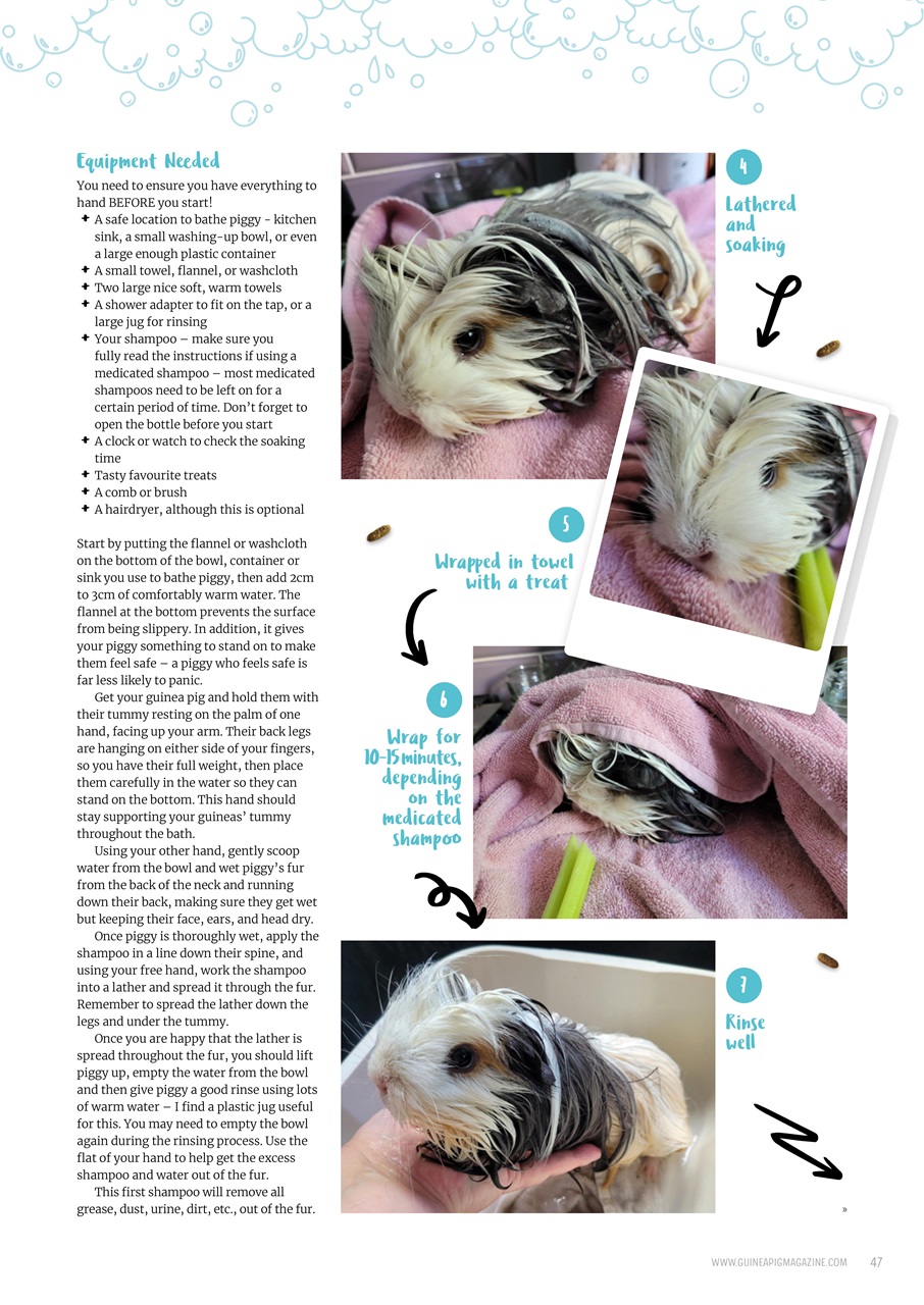 Guinea Pig Magazine - Issue 72 Back Issue