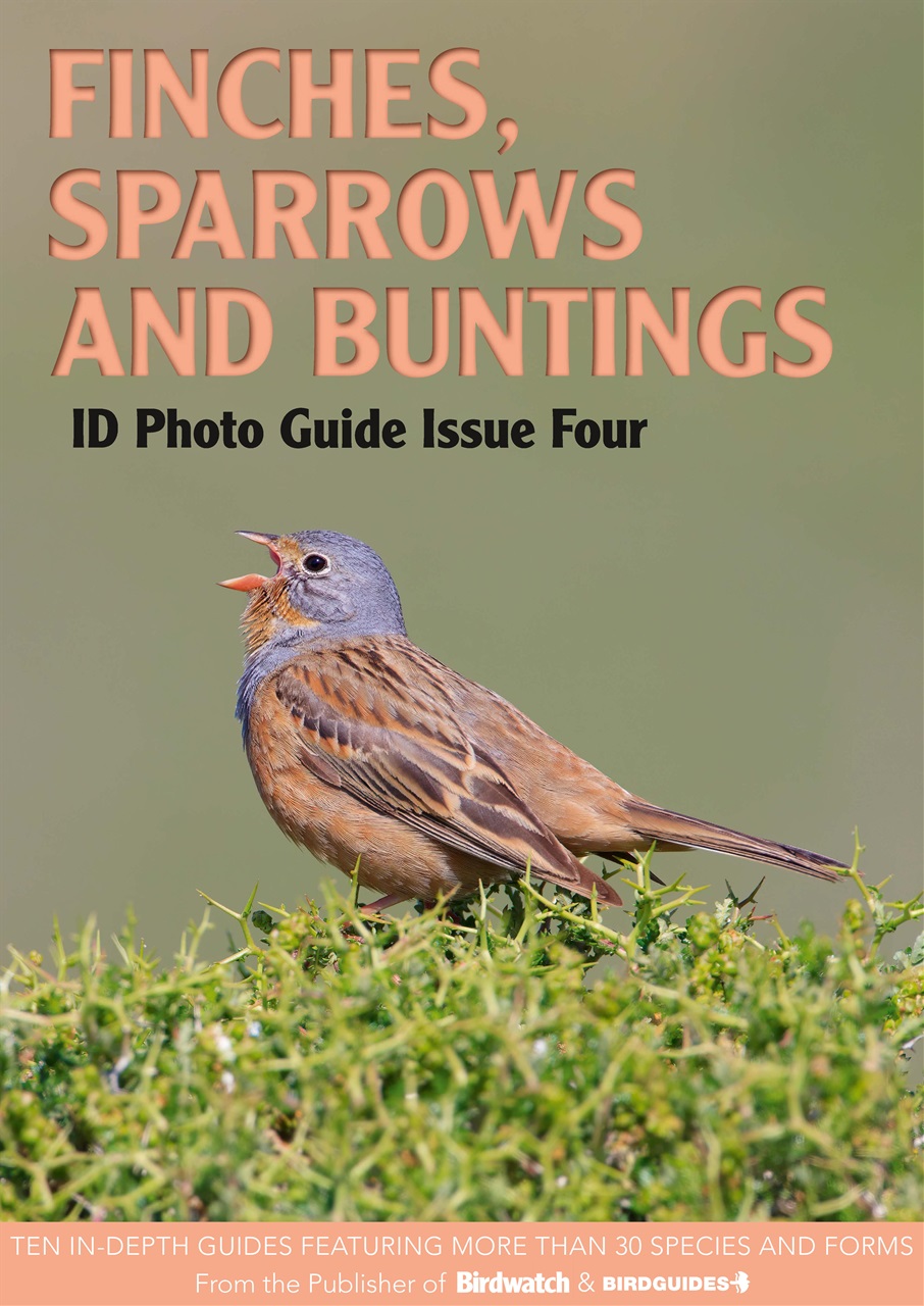 Bird ID Photo Guides Magazine - Finches, Sparrows and Buntings Back Issue