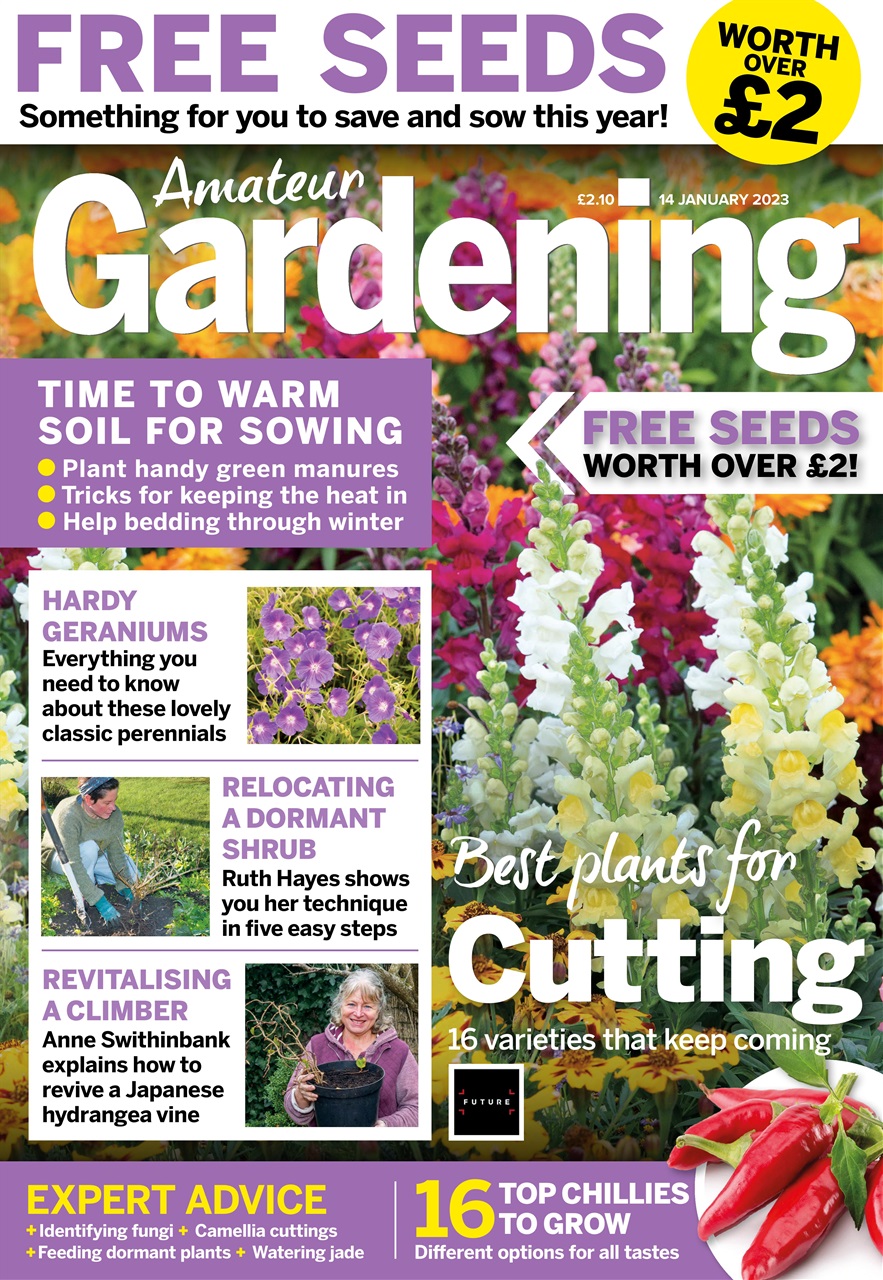 Amateur Gardening Magazine - FREE Sample Issue Special Issue