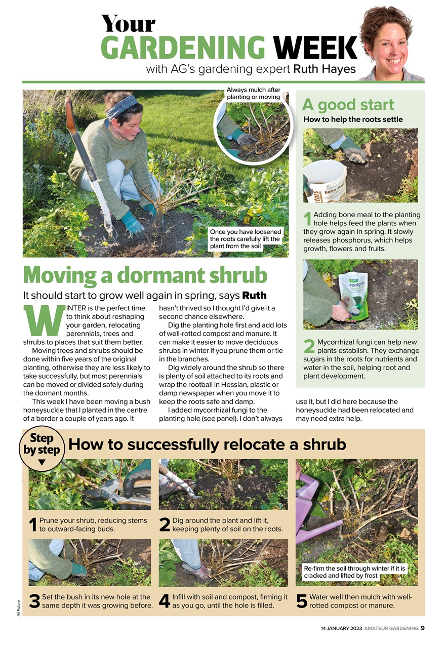 Amateur Gardening Magazine - FREE Sample Issue Special Issue