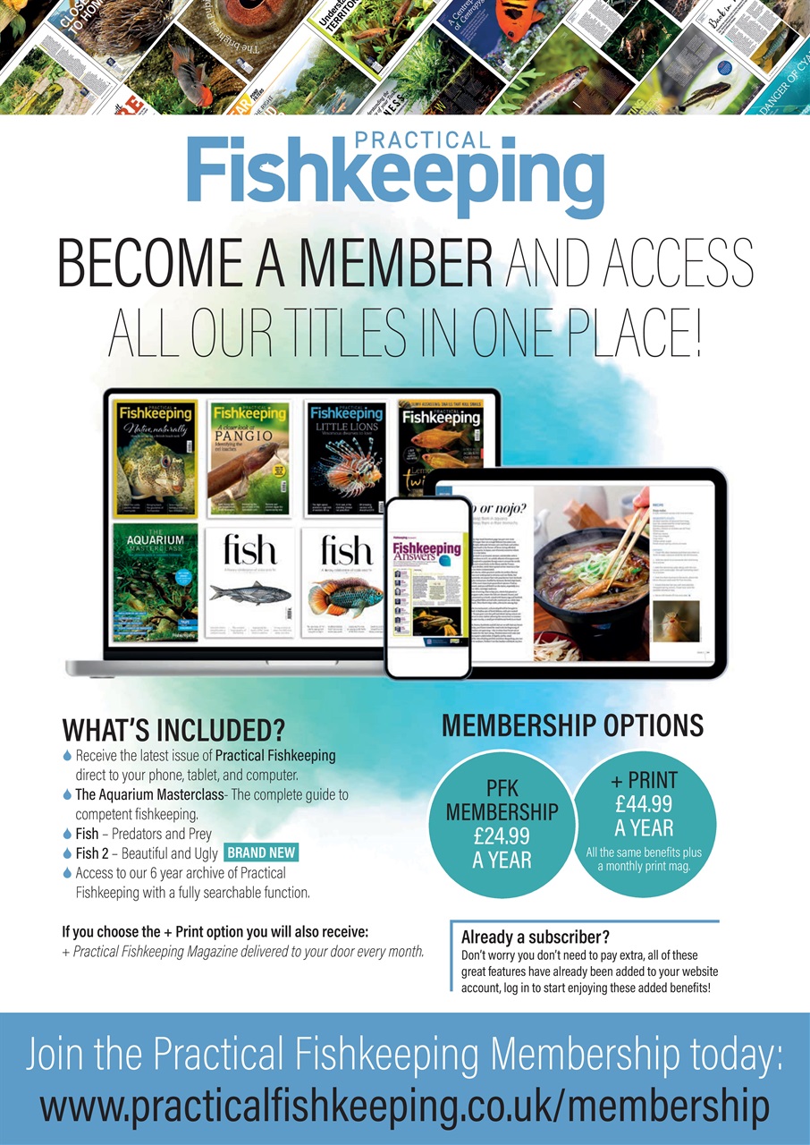 Practical Fishkeeping Magazine - Practical Fishkeeping February 2023 ...