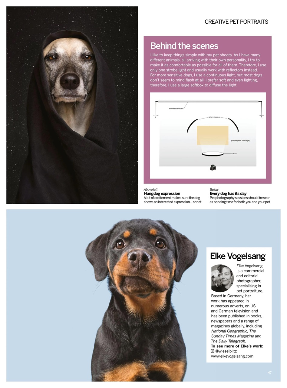 Digital Photographer Magazine - Issue 262 Subscriptions | Pocketmags