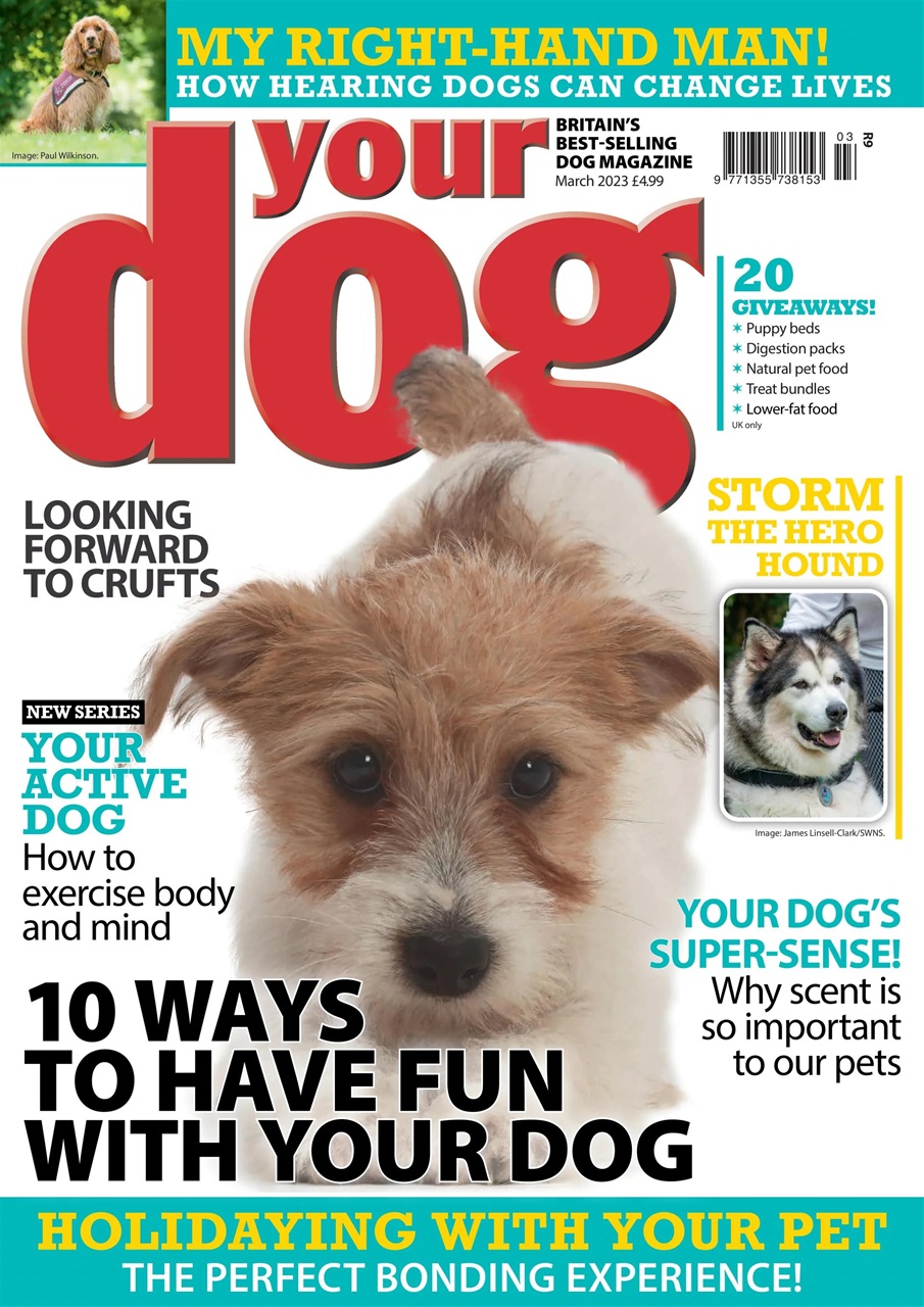 Your Dog Magazine - Your Dog Magazine March 2023 Back Issue