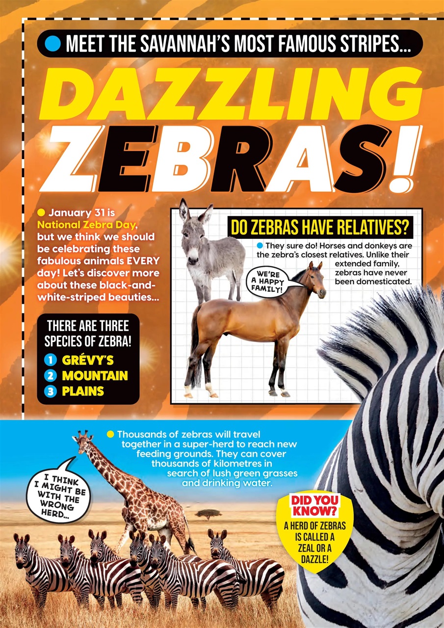 Animal Planet Kids Magazine Subscriptions and Issue 26 Issue