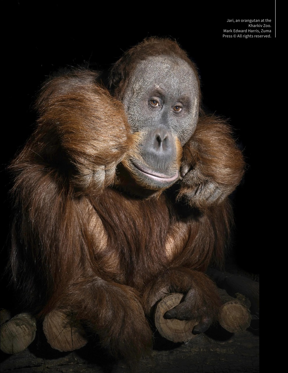 Lens Magazine - January 2023. The 100th Issue. Back Issue