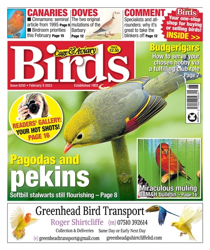 Cage & Aviary Birds Magazine - 8-Feb-23 Back Issue