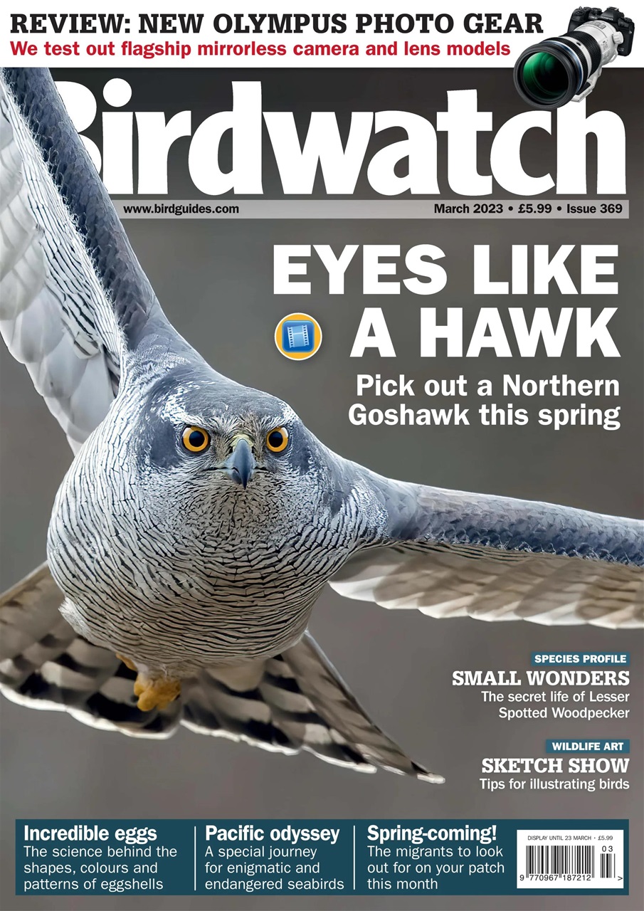 Birdwatch Magazine - March 2023 Back Issue