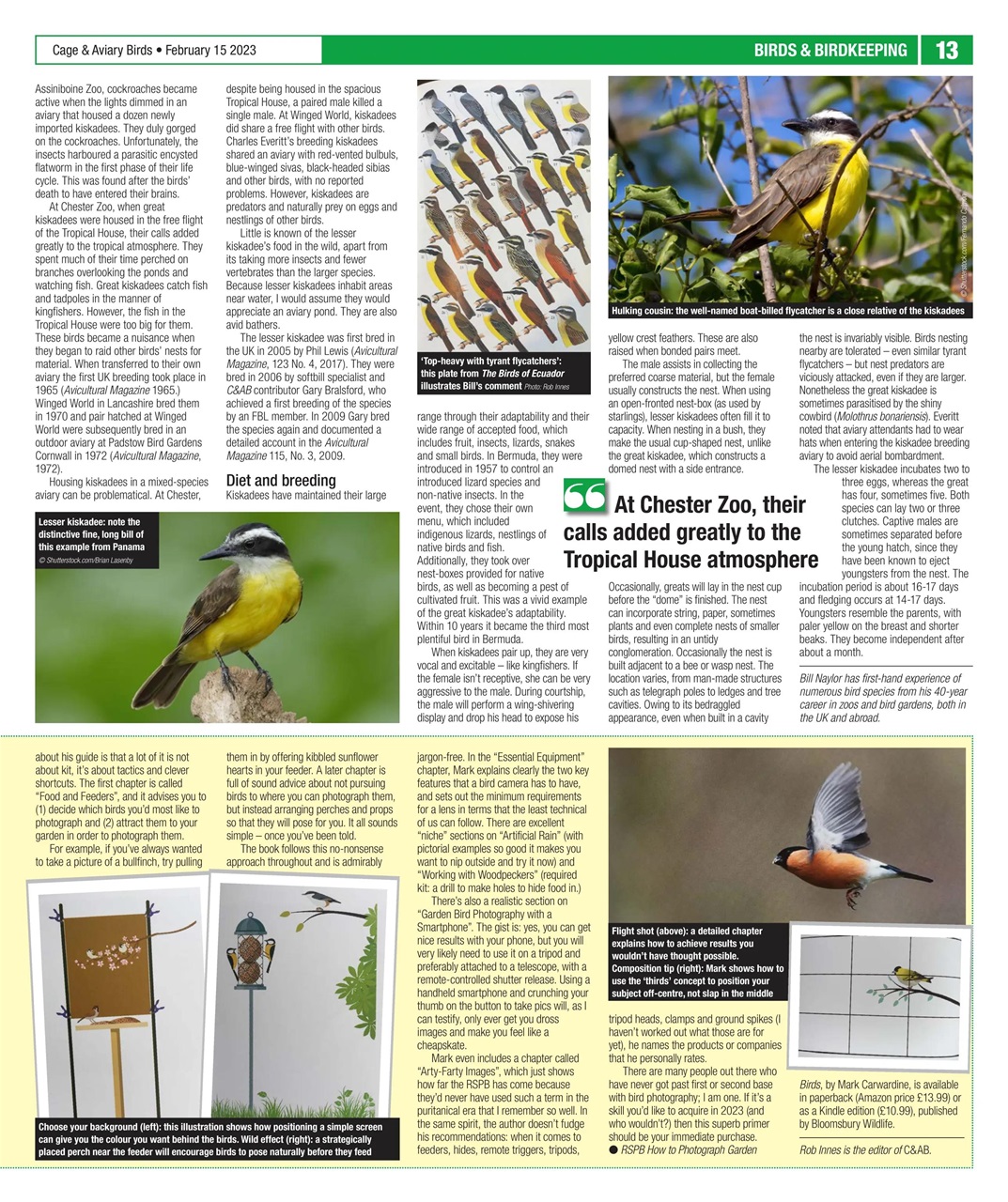 Cage & Aviary Birds Magazine - 15-Feb-23 Back Issue