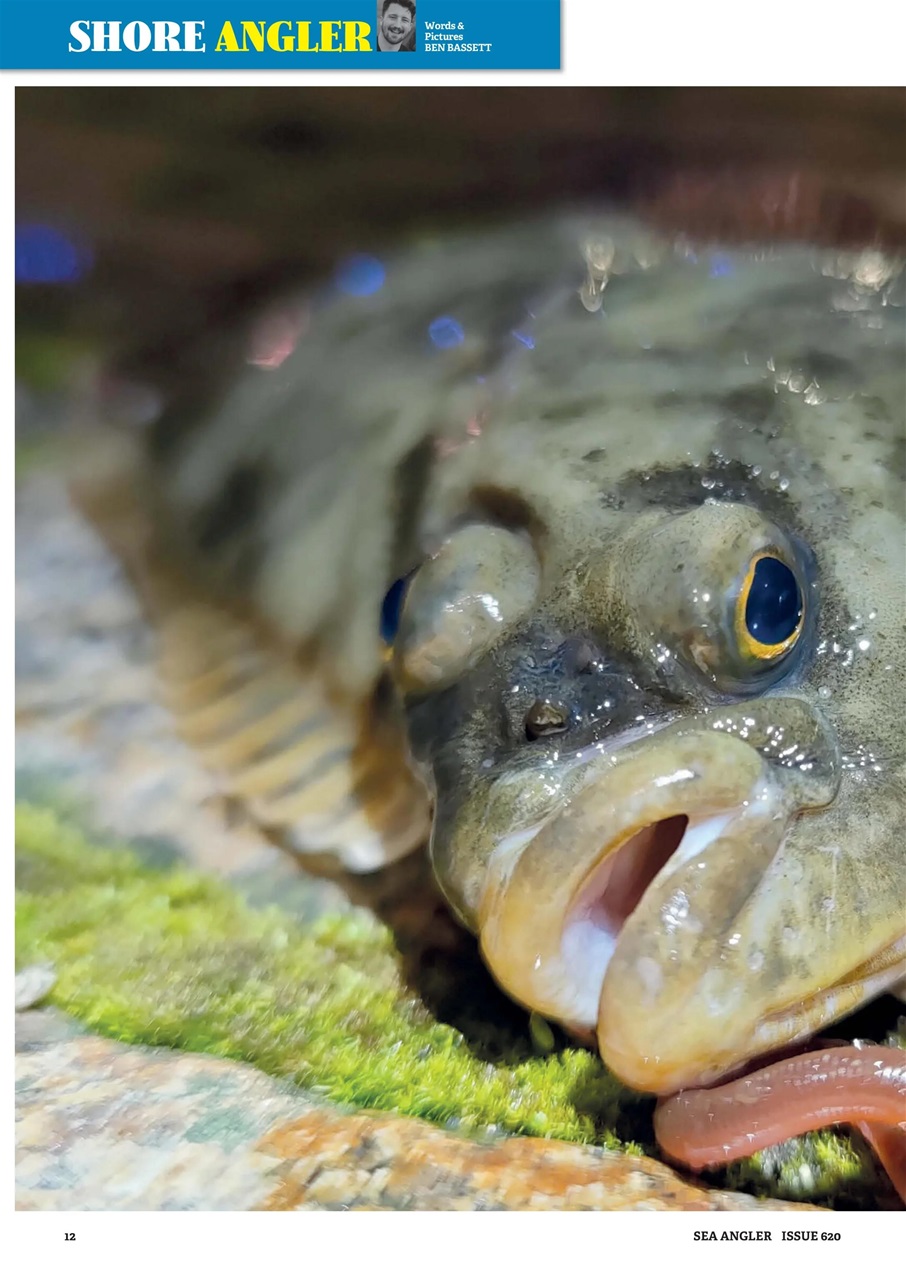 Sea Angler Magazine - 620 Spr-23 Back Issue