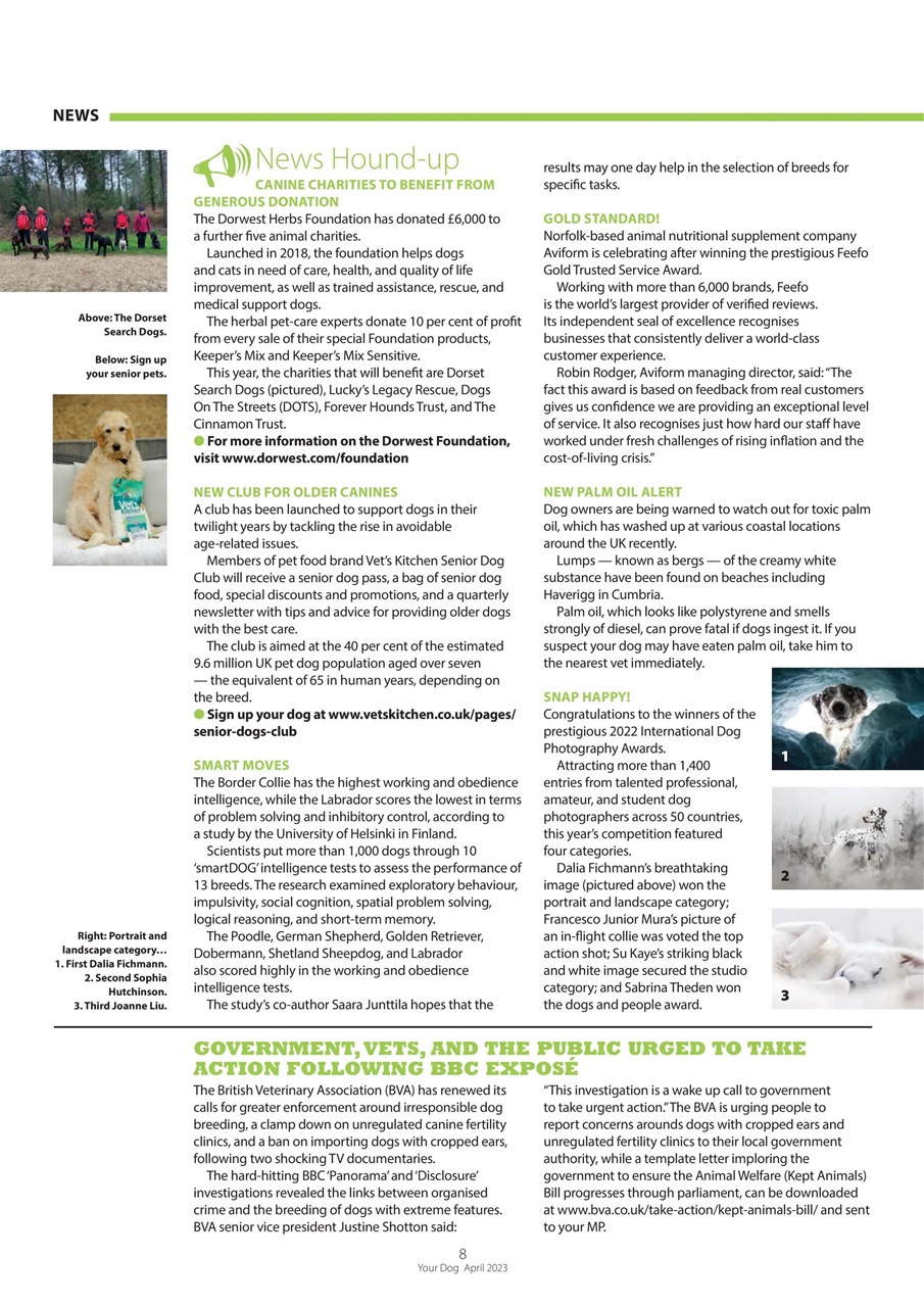 Your Dog Magazine - Your Dog Magazine April 2023 Back Issue