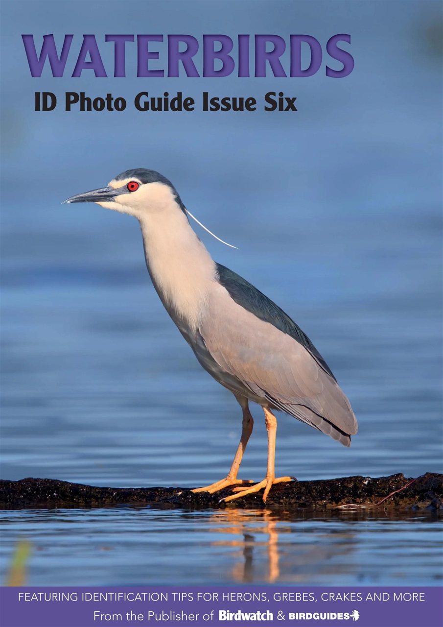 Bird ID Photo Guides Magazine - Waterbirds Back Issue
