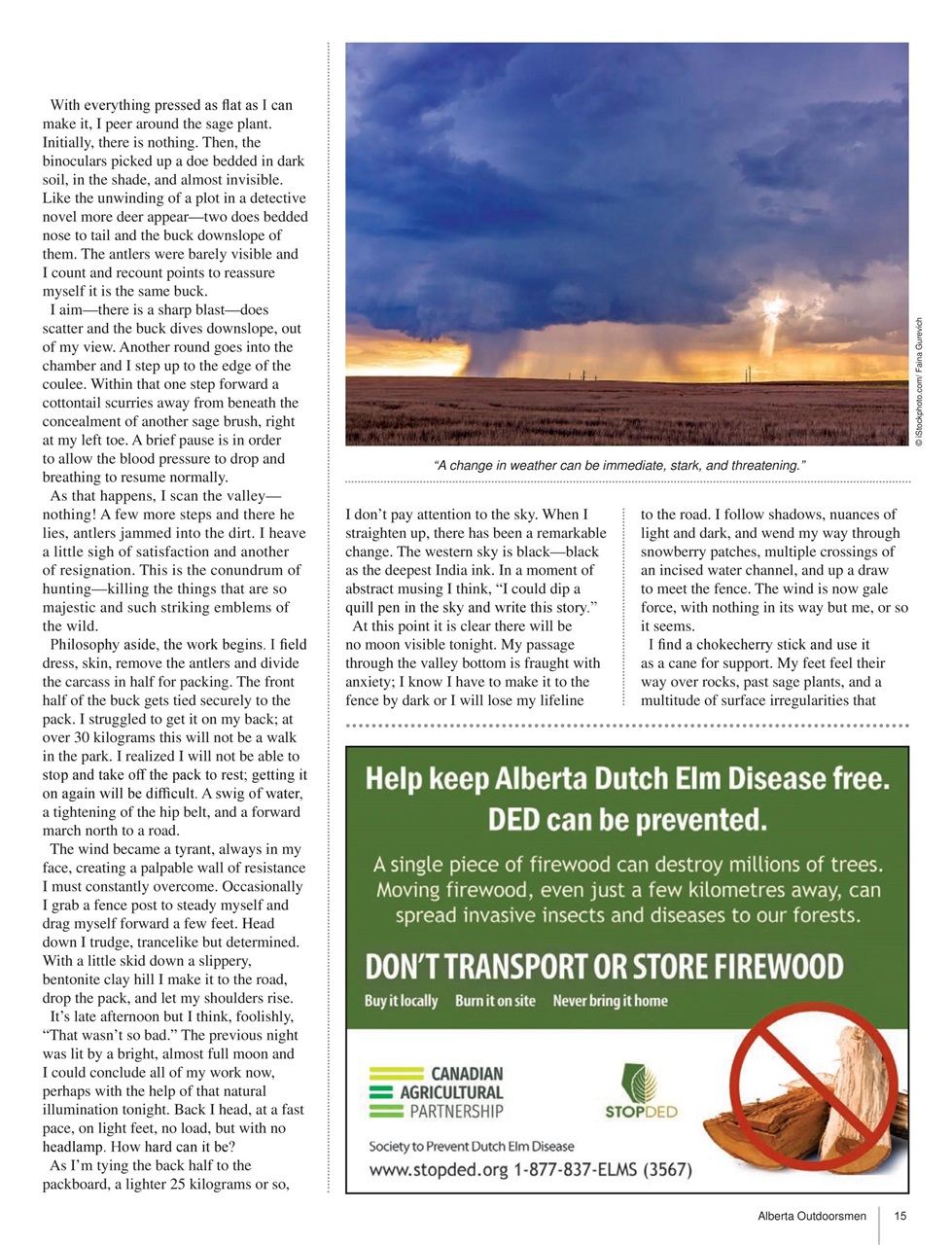 Alberta Outdoors Magazine - Volume 24 Issue 11 Back Issue