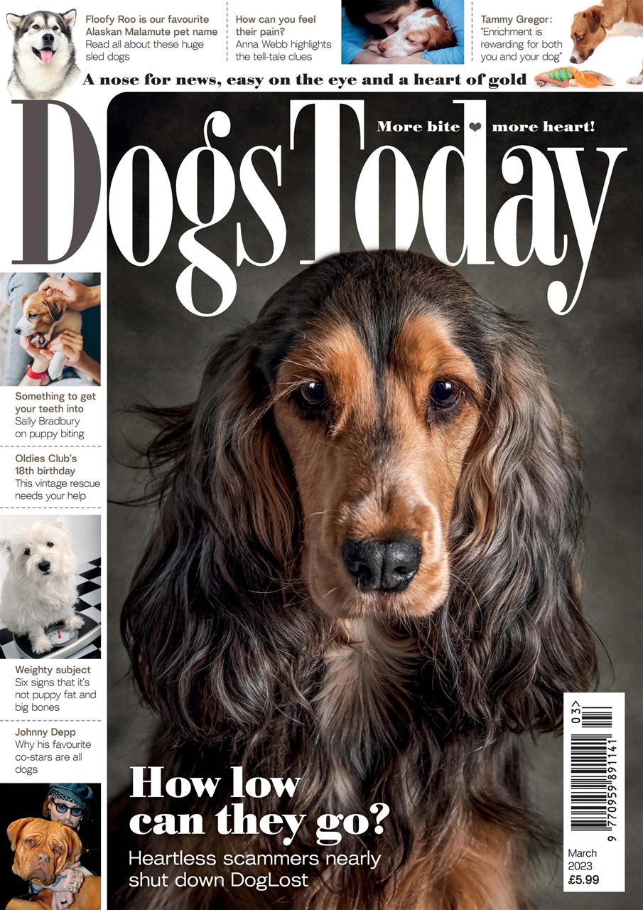 Dogs Today Magazine - March 2023 Back Issue